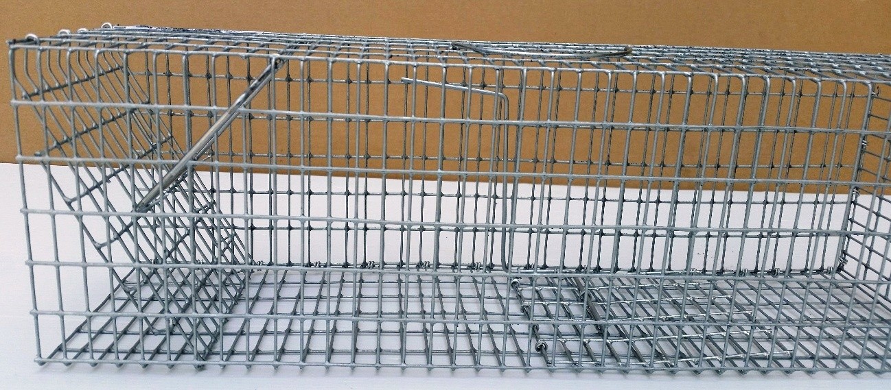 NASSE A RAT 1 ENTREE 50X15X15